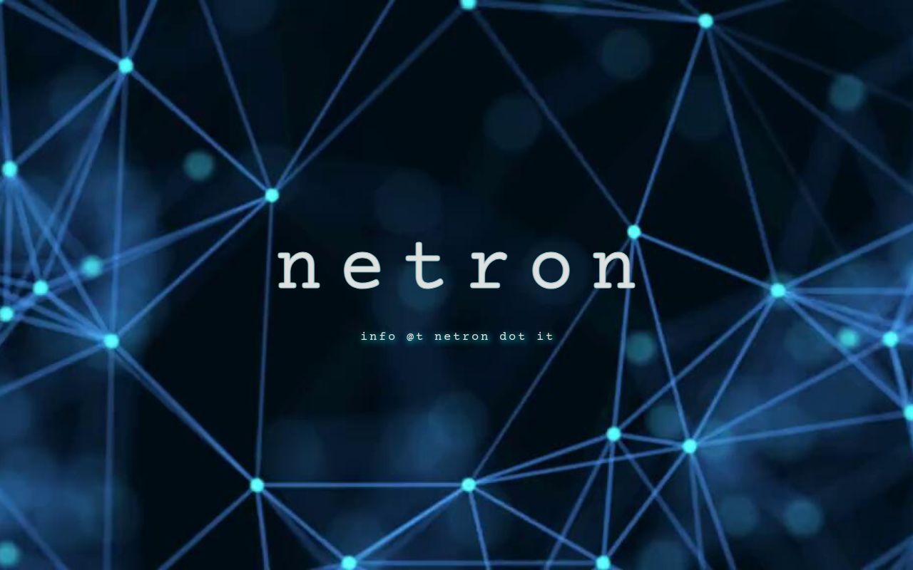 netron
